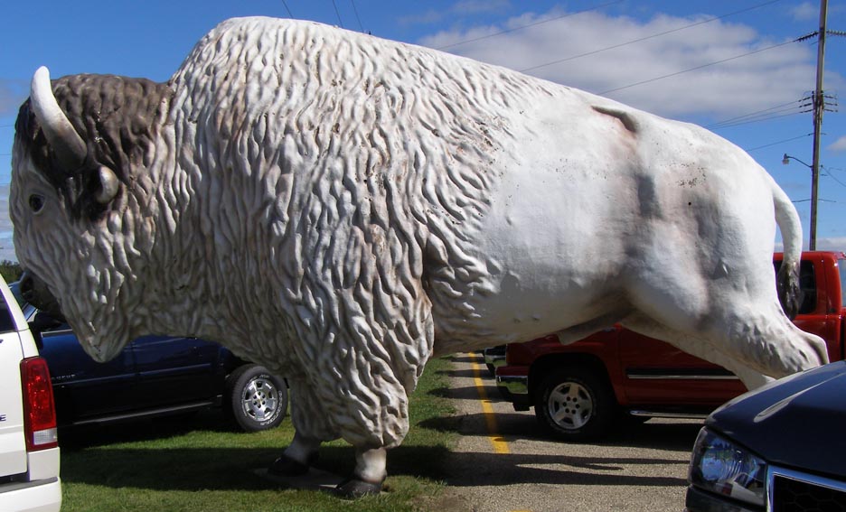 Buffalo & Bison Statues | RoadsideArchitecture.com