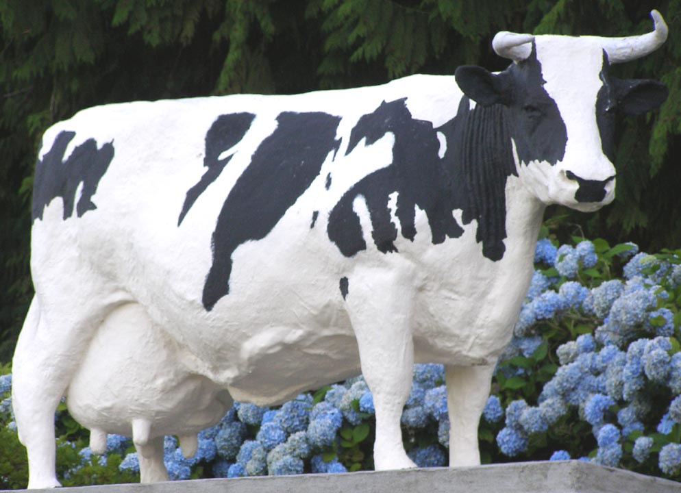 Cow Statues | RoadsideArchitecture.com
