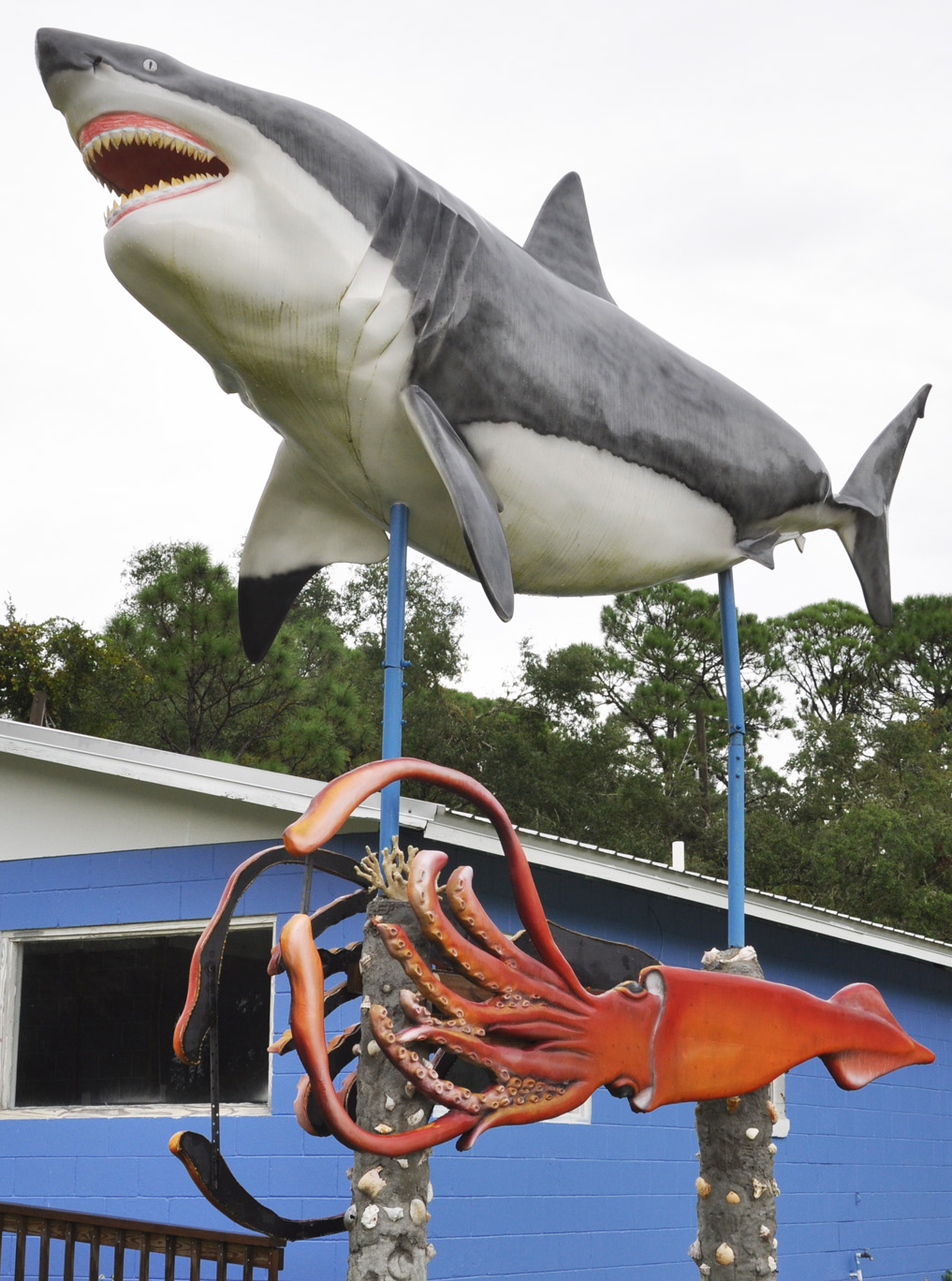 Shark Statues | RoadsideArchitecture.com