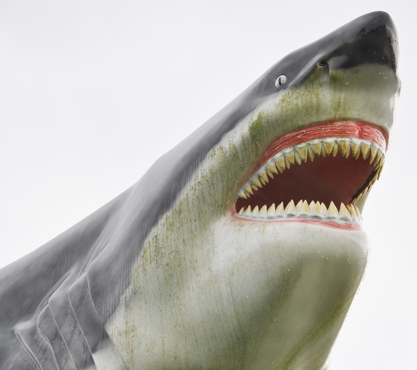 Shark Statues | RoadsideArchitecture.com